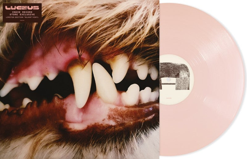 Lucius – Yellow Dog Discs